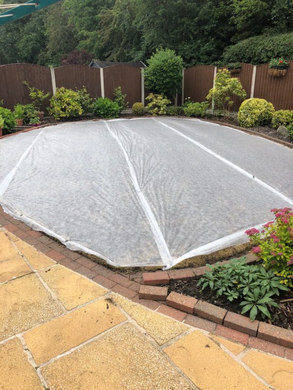 Lawn Renovation and Patch Repair Aftercare – Green Man Lawn Care